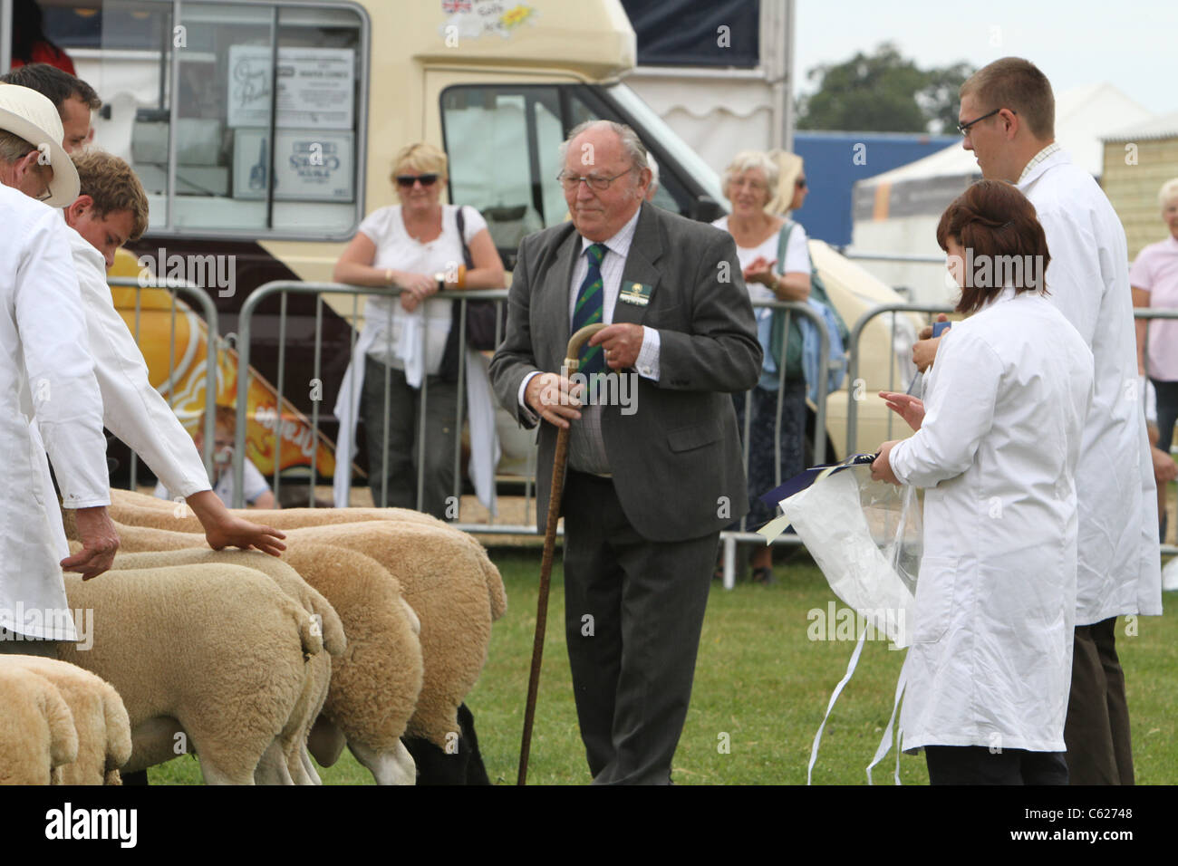 Sheep judge hi-res stock photography and images - Alamy