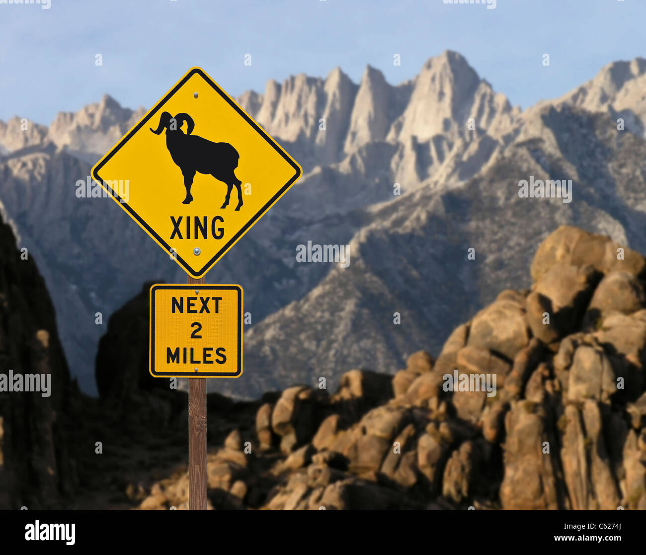 Big Horn sheep caution sign with 14,494' Mt Whitney as a backdrop Stock ...