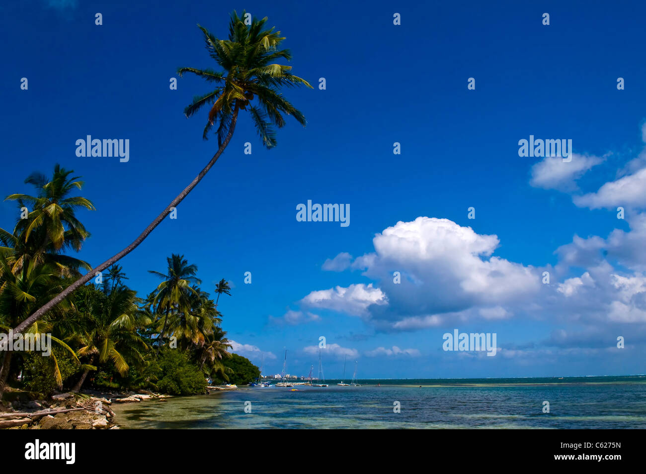 Beach on the Caribbean island of San Andres , Colombia Stock Photo - Alamy