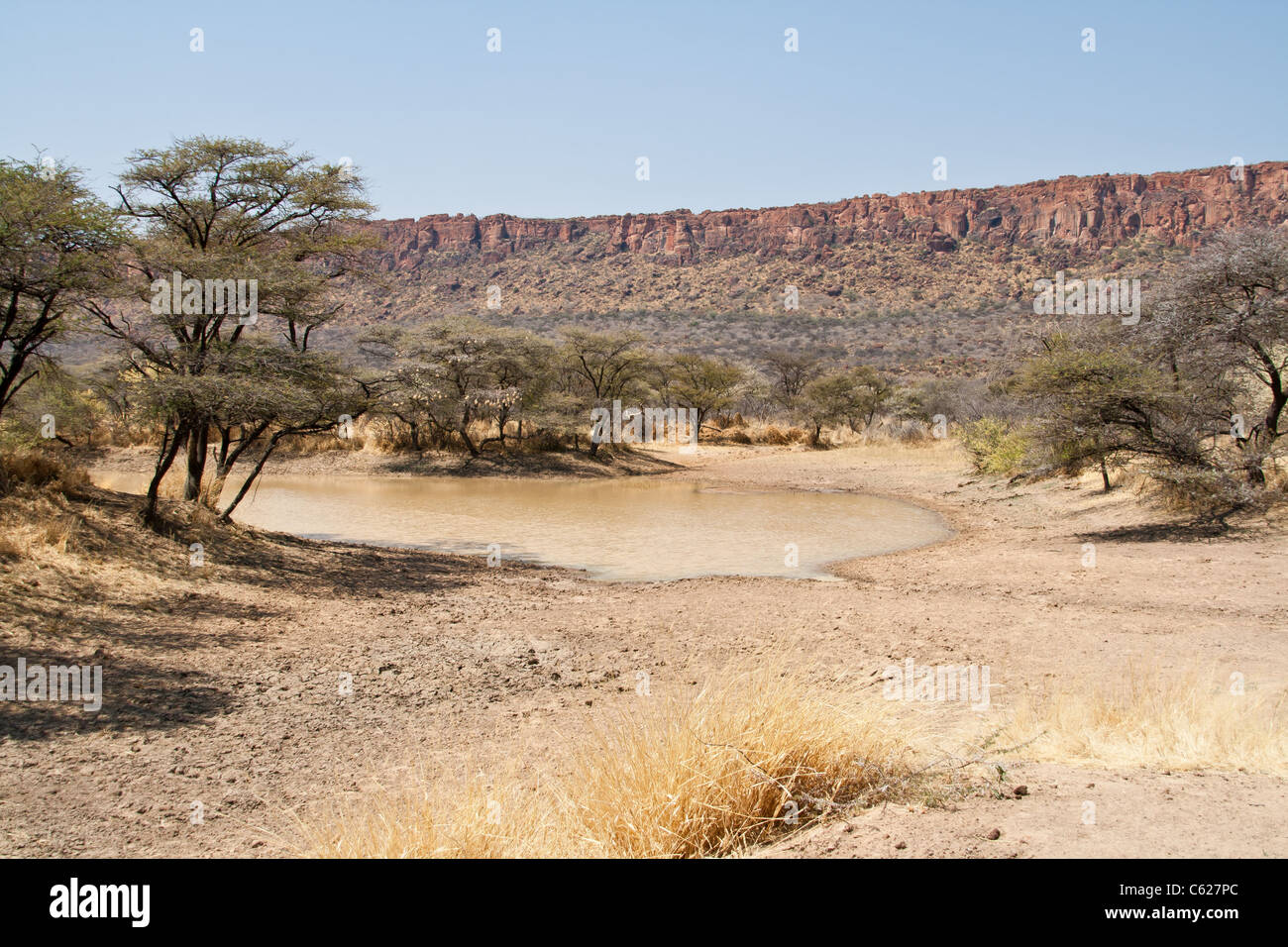 Dry waterhole in Namibia, Africa Stock Photo - Alamy