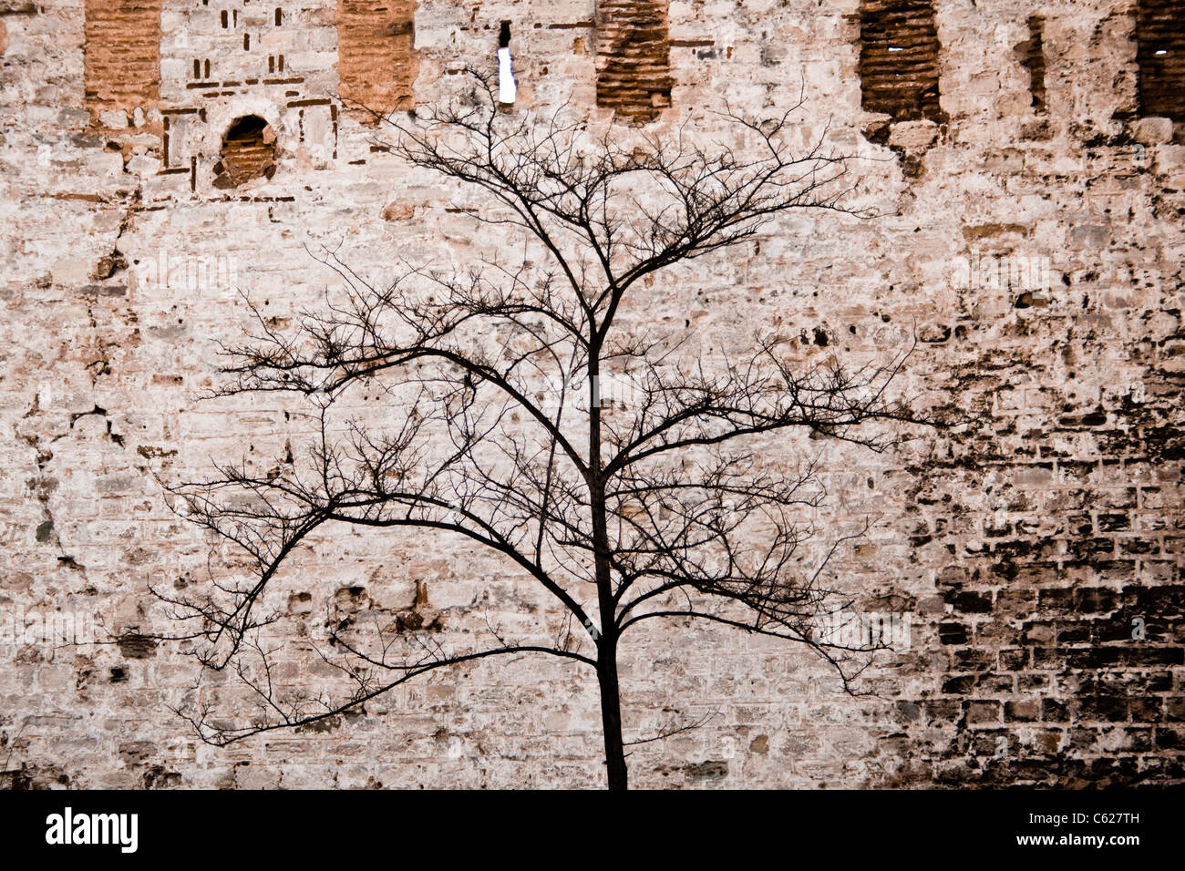 Stone wall of Topkapi Stock Photo - Alamy