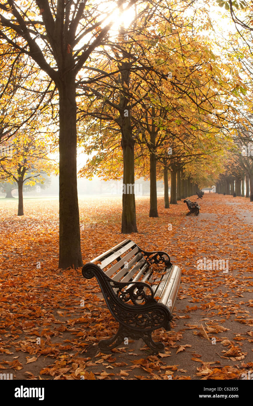 Early morning park london hi-res stock photography and images - Alamy