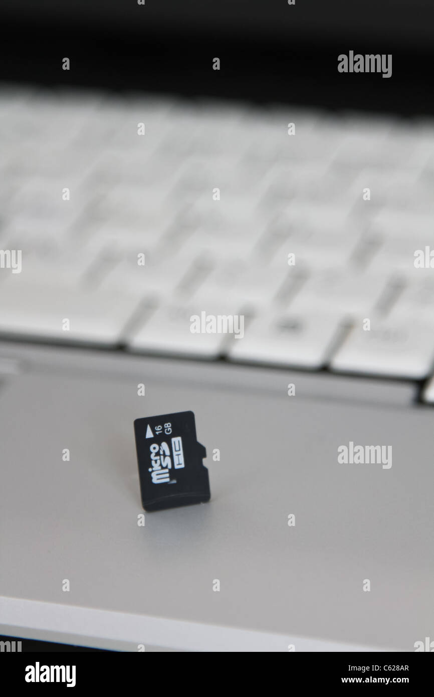 small tiny memory chip card "micro sd" laptop Stock Photo - Alamy