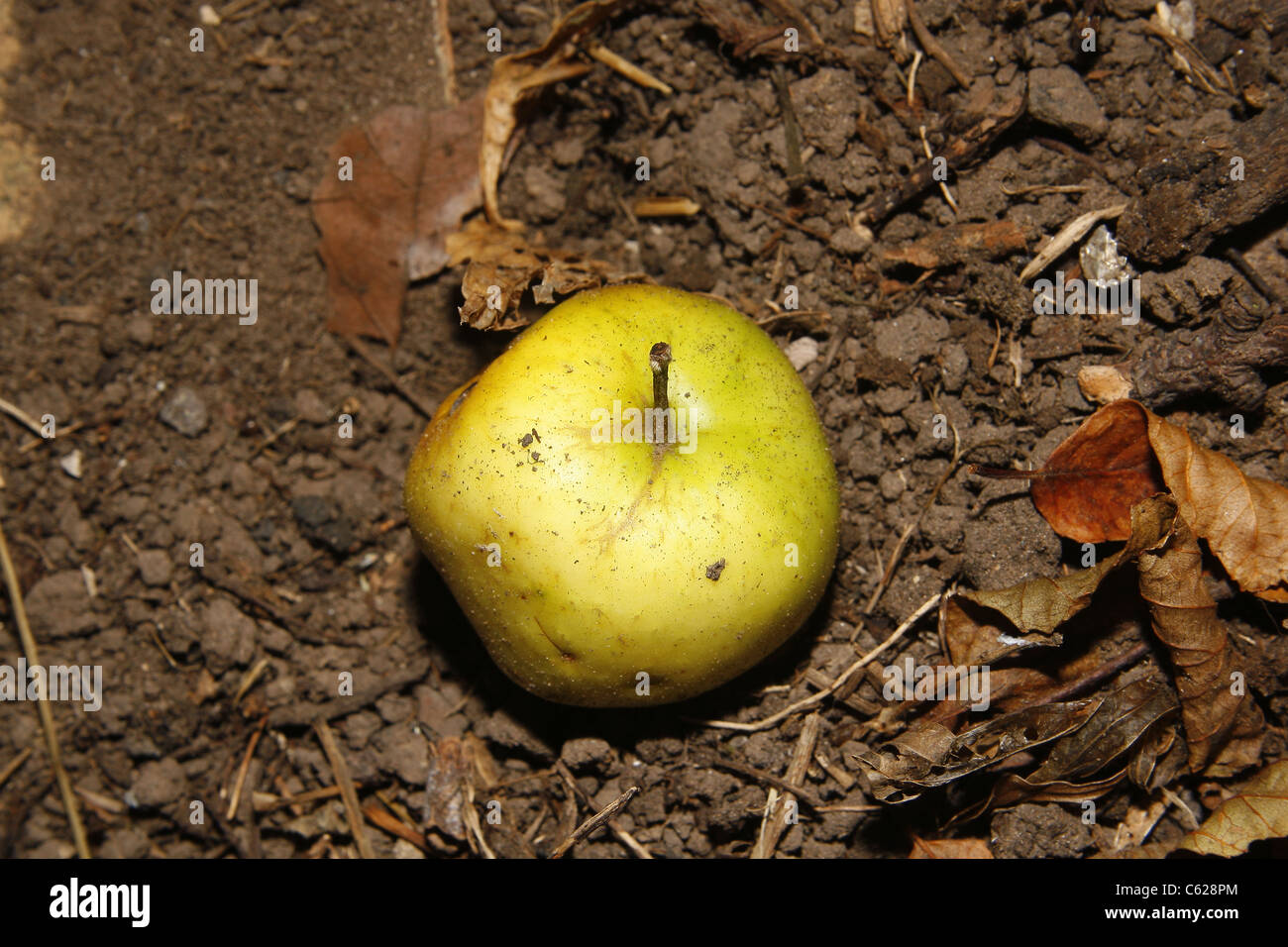 Soil spoil hi-res stock photography and images - Alamy