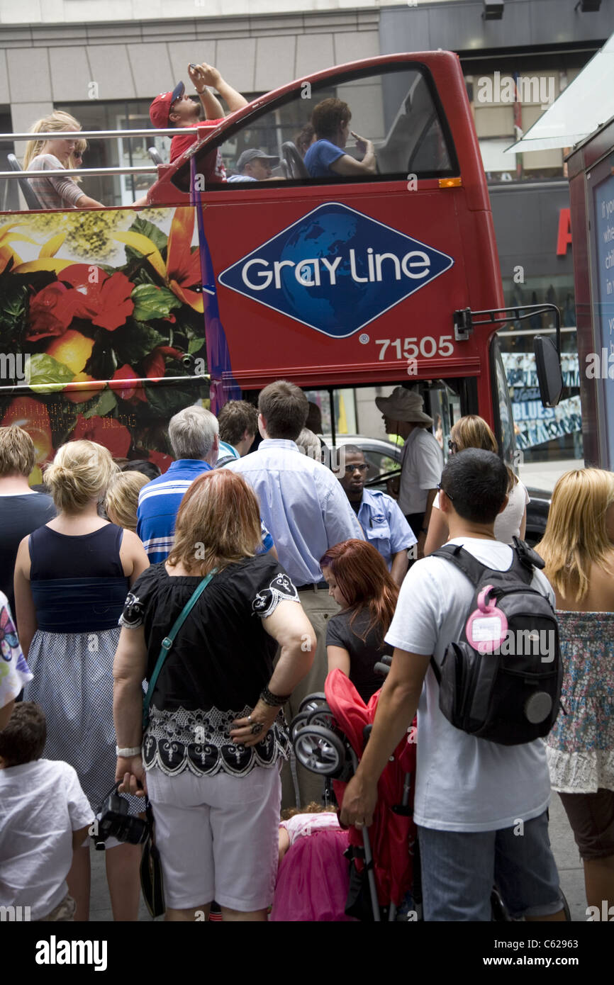 Gray Line tourist bus 34th Street, NYC Stock Photo - Alamy