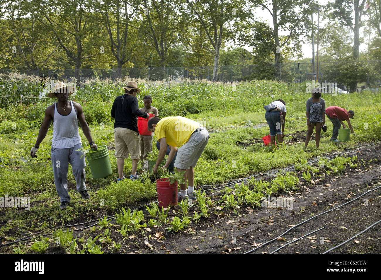 Working Farms In Ny