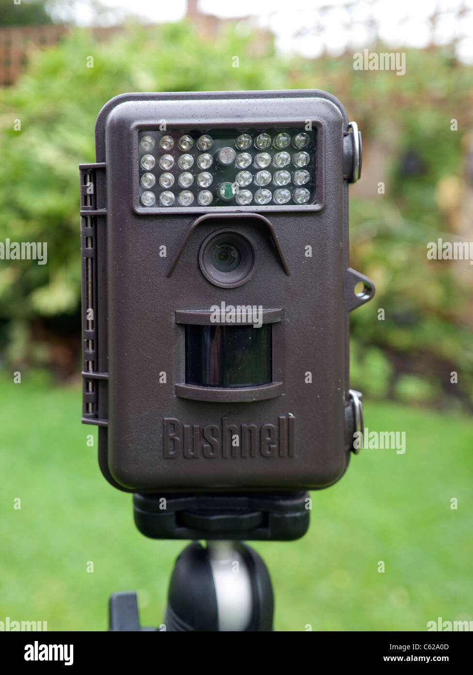 Wildlife surveillance camera garden hi-res stock photography and images ...