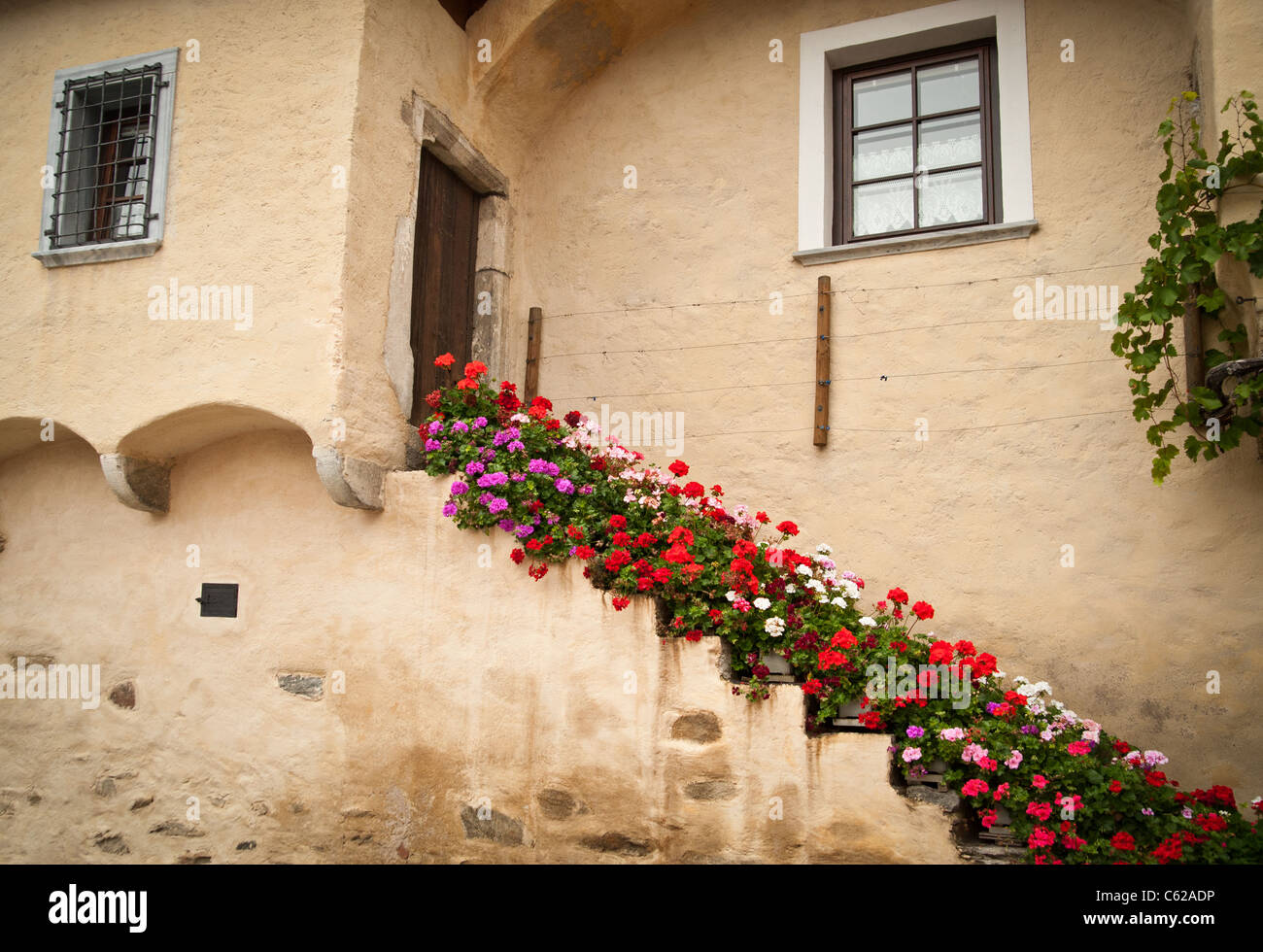 Staircase in mediterranean Style with Flowers, taken in Italy Stock ...