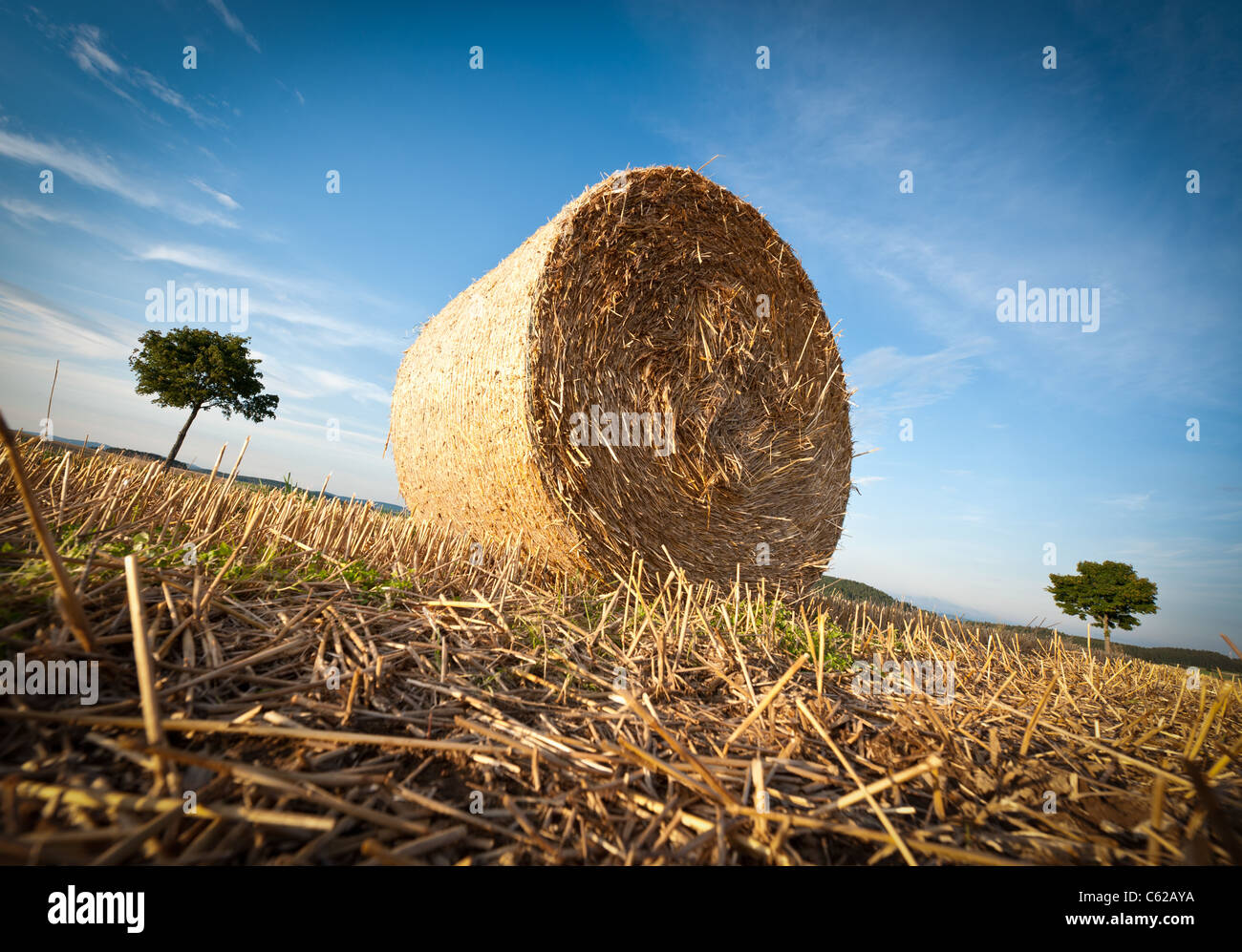 Hay Bale on the late Afternoon with blue Sky Stock Photo - Alamy