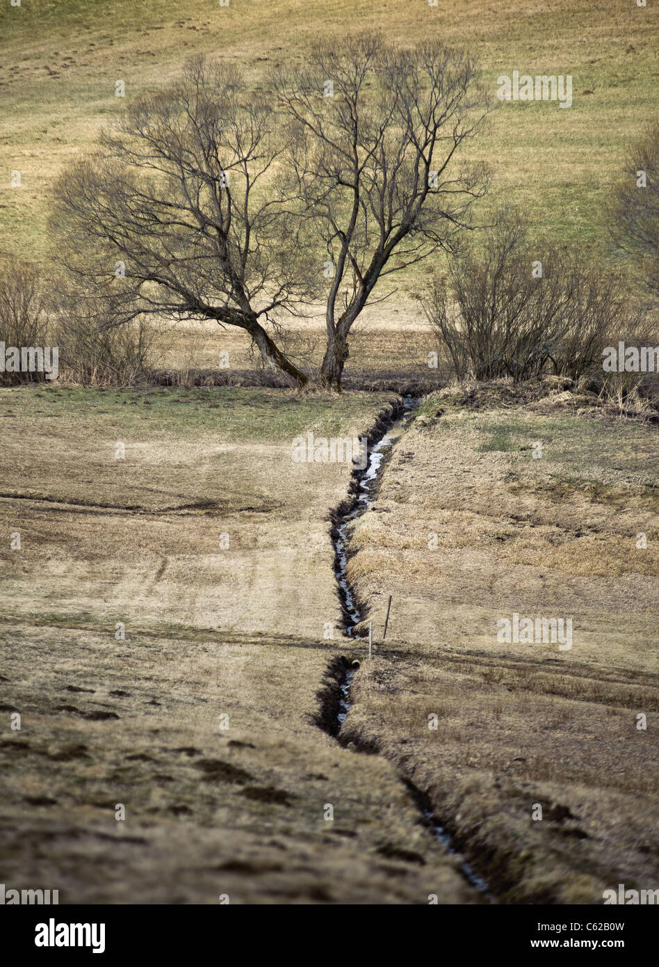 Streamlet hi-res stock photography and images - Alamy