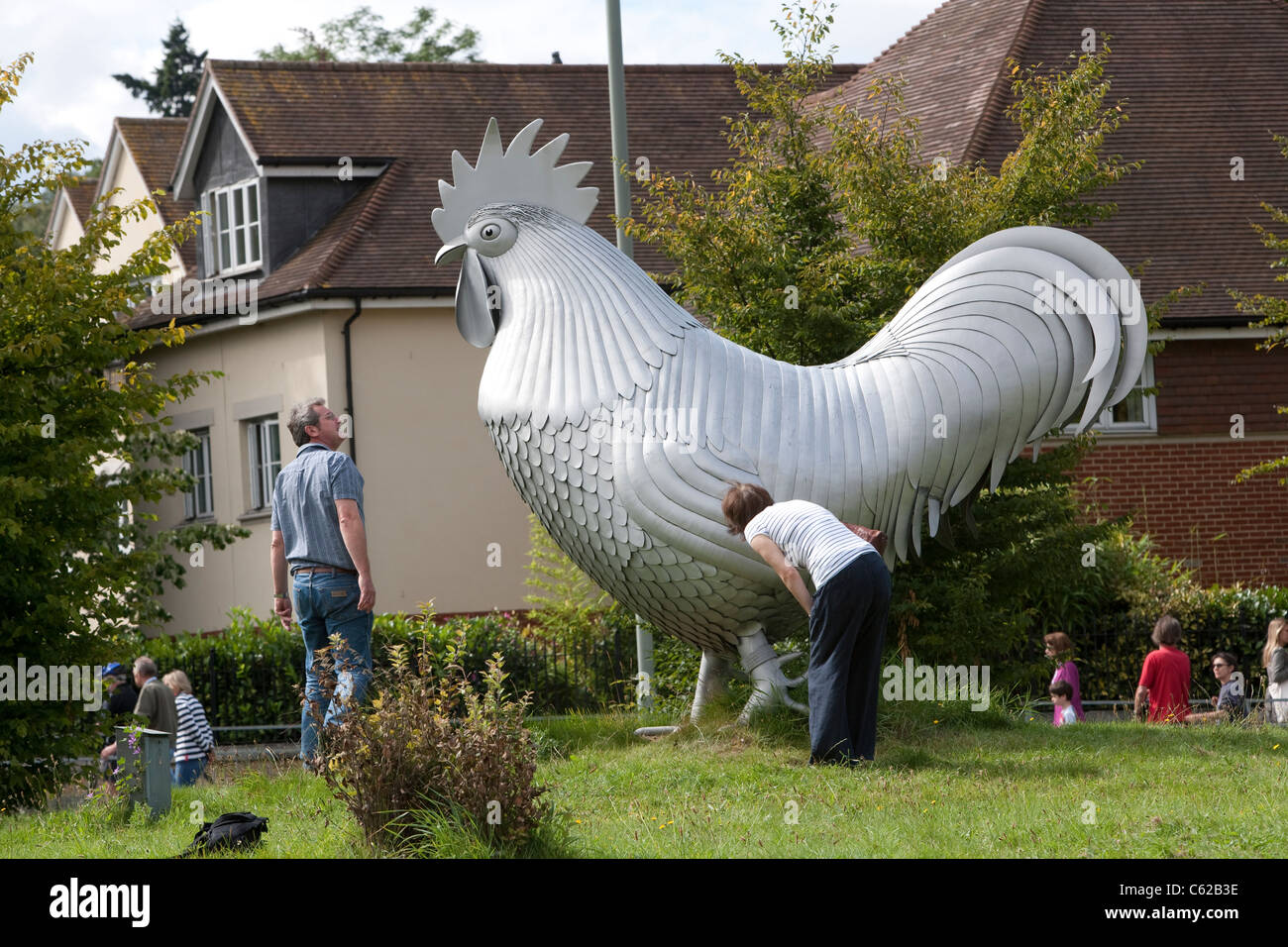Dorking chicken hi-res stock photography and images - Alamy