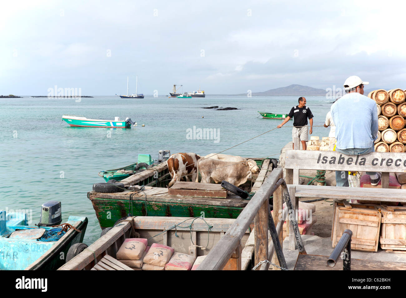Cattle transport south america hi-res stock photography and images - Alamy