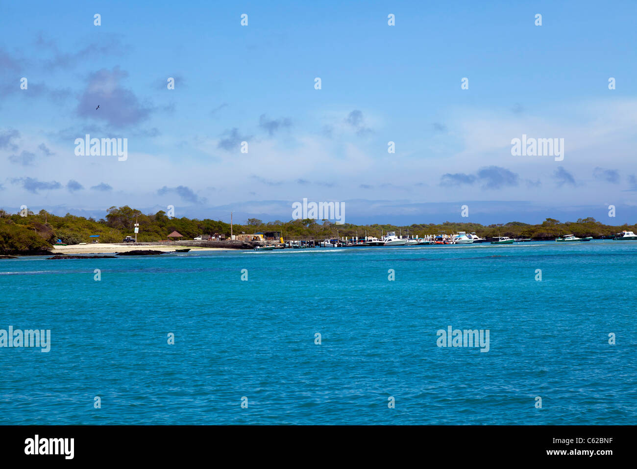 Isabella island hi-res stock photography and images - Alamy