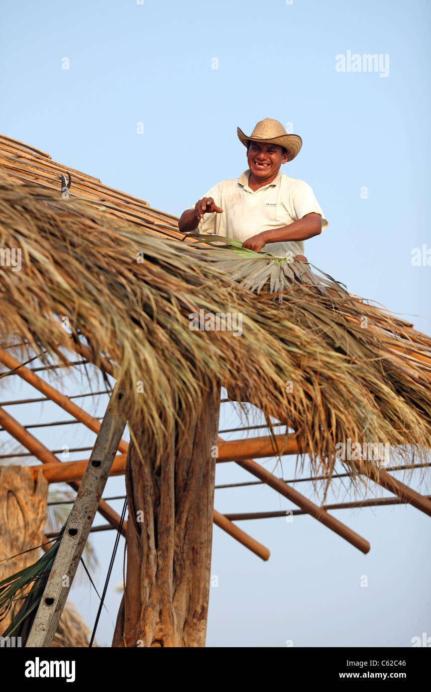 Happy man thatching a roof for a new beach restaurant. Puerto Escondido ...