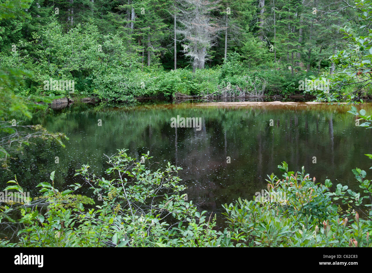 Chute pond hi-res stock photography and images - Alamy