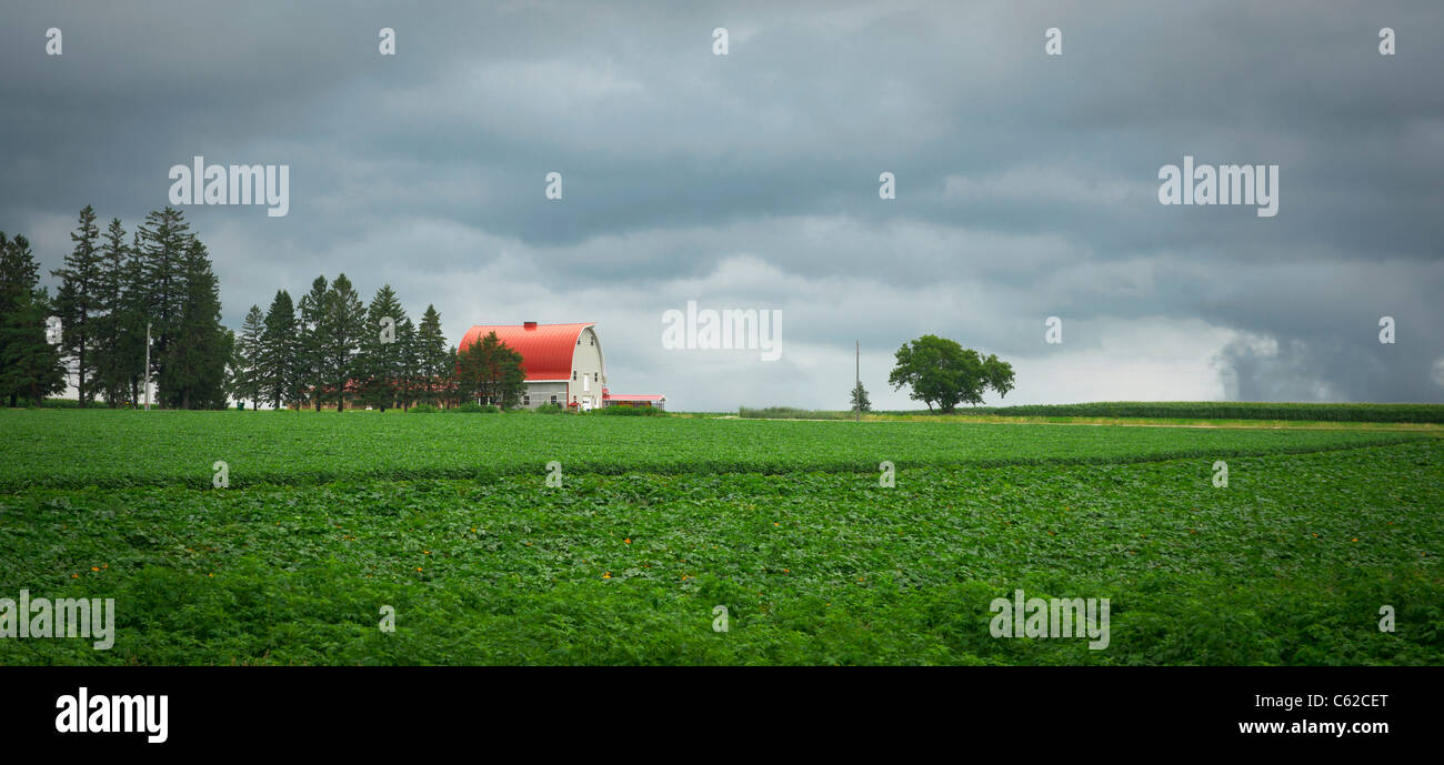 Rural scenery from Minnesota. Field and modern farm building with ...