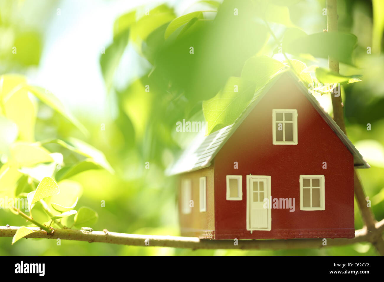 House in the trees Stock Photo - Alamy