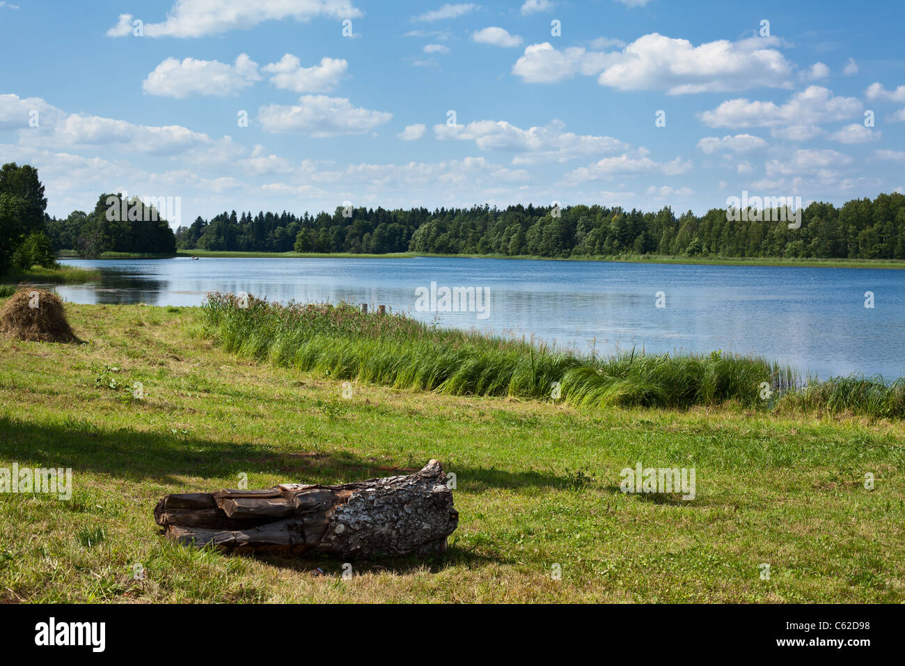 Russia - district of lakes and rivers. Solitude area in woods Stock ...