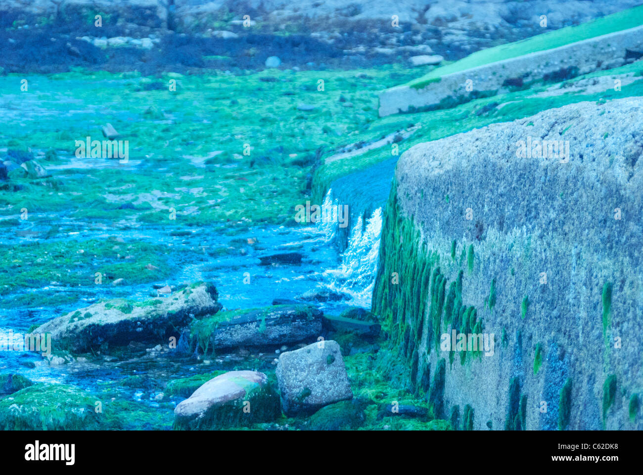 Water seaweed rocks hi-res stock photography and images - Alamy