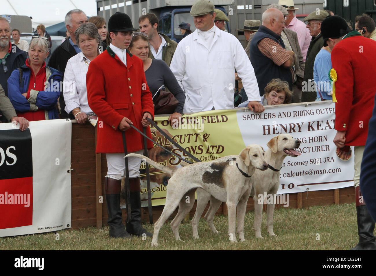 Showing hounds hi-res stock photography and images - Alamy
