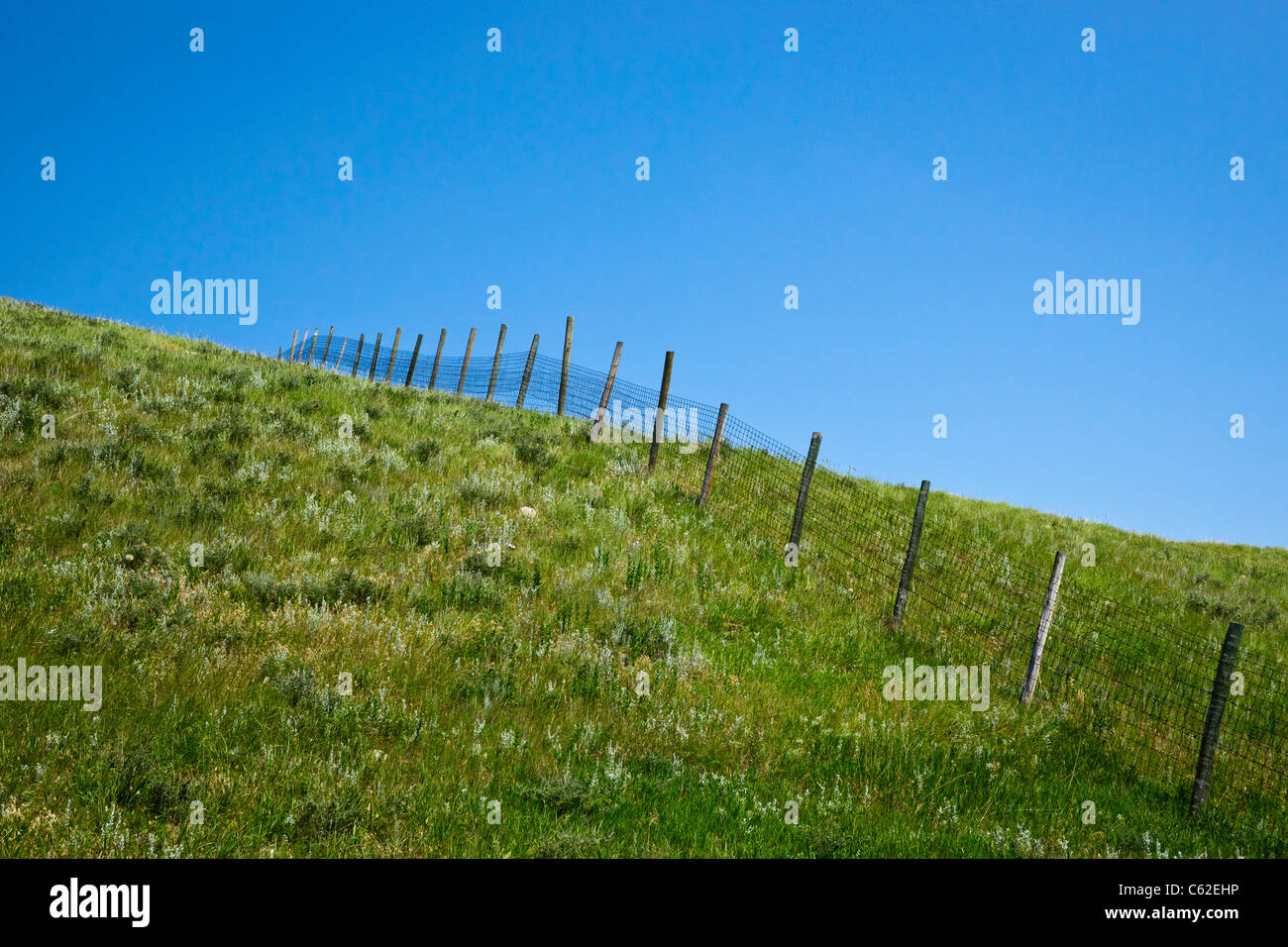 Prairie scenery and fence in Custer Park in Black Hills South Dakota ...