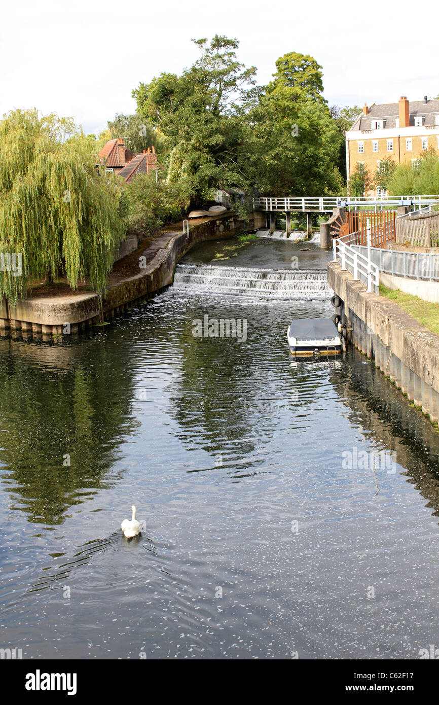 River Ember joining the Mole, Molesey Surrey England UK Stock Photo - Alamy
