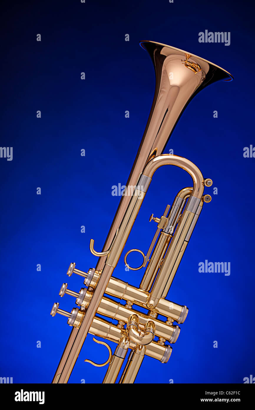 Blue And Gold Trumpet