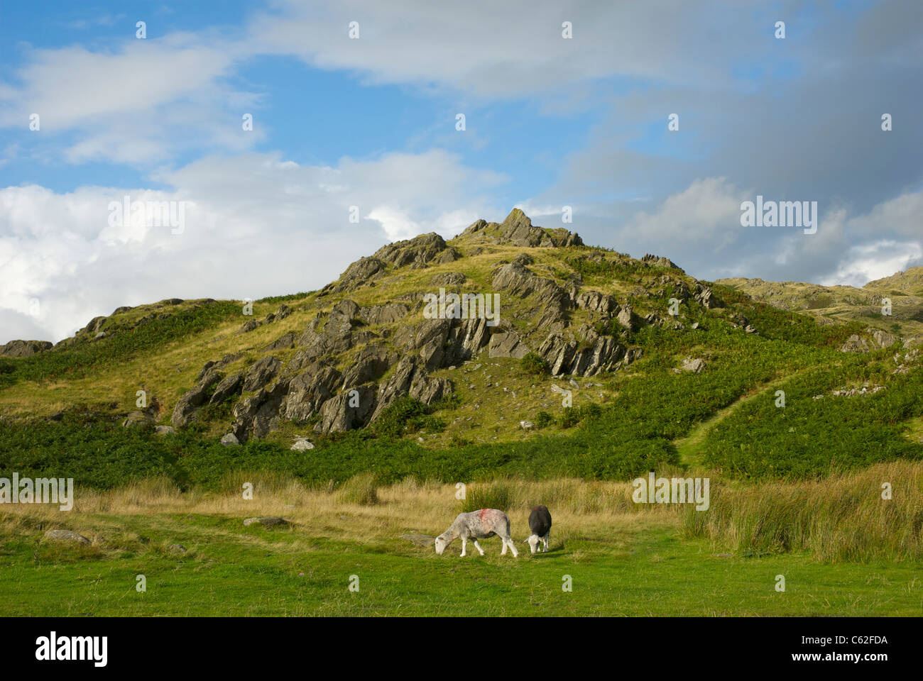 Dunnerdale fells hi-res stock photography and images - Alamy