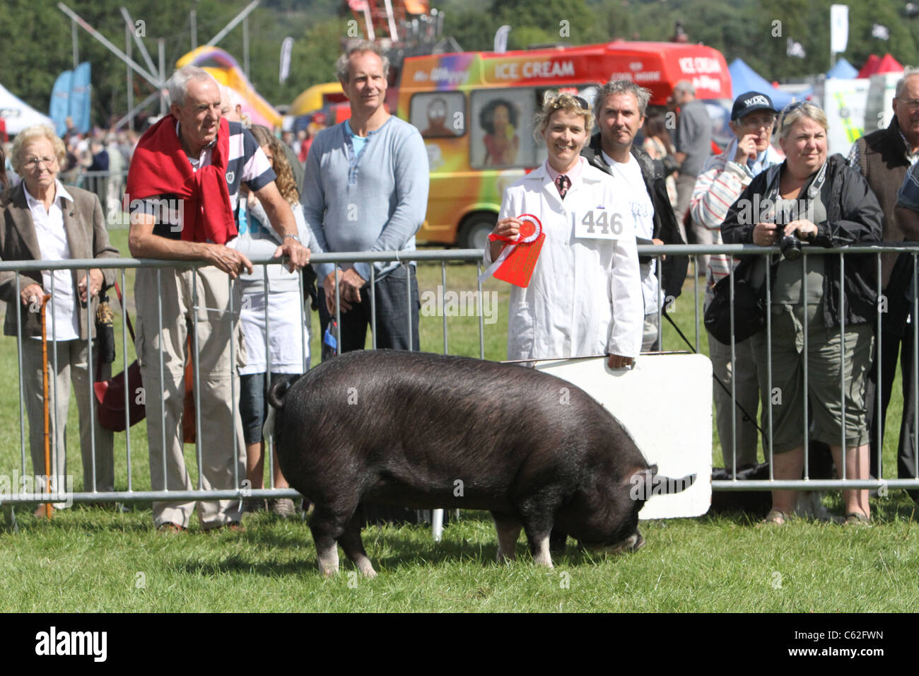 Pig winning hi-res stock photography and images - Alamy