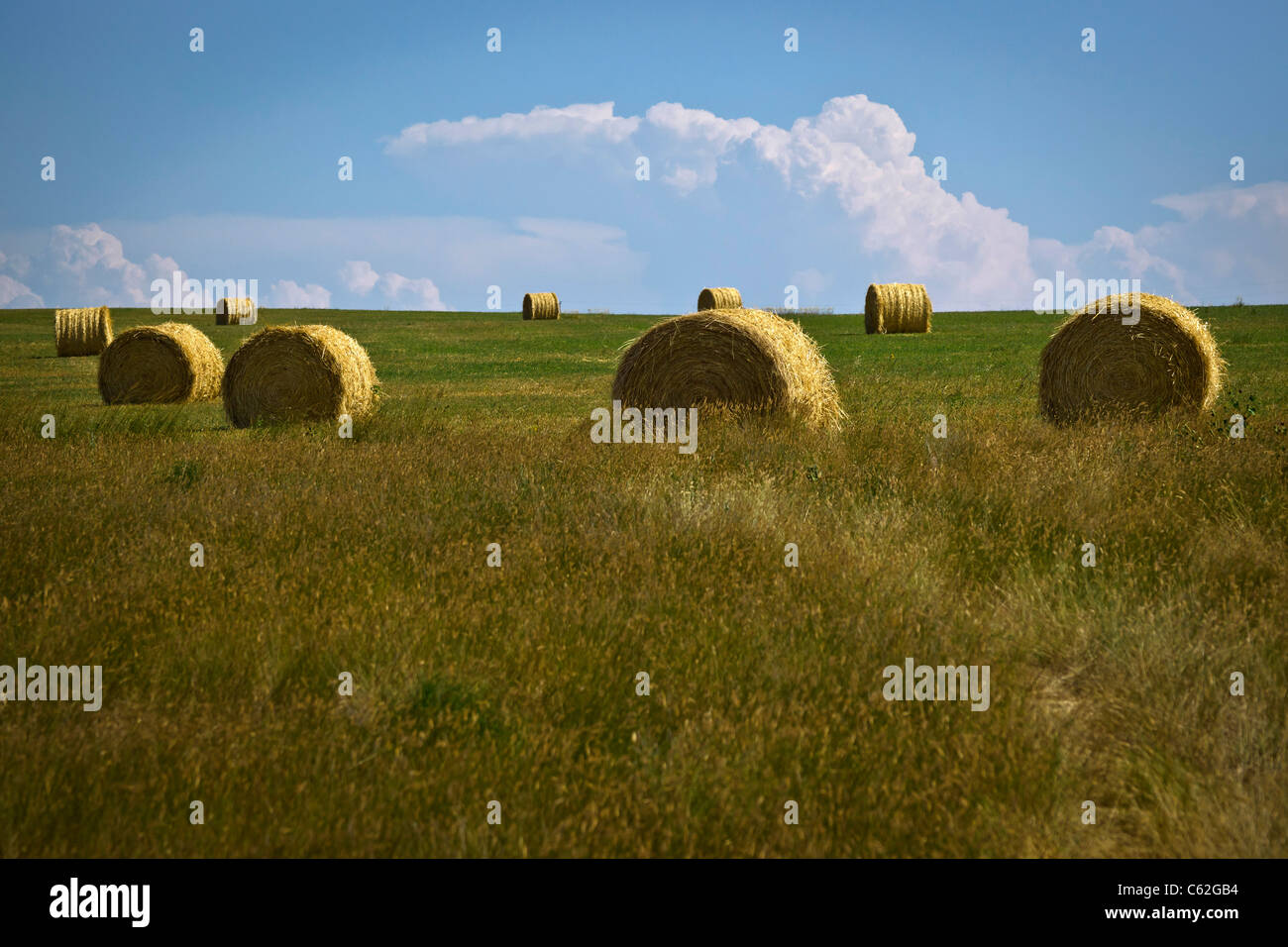 Grasslands hi res hi-res stock photography and images - Alamy