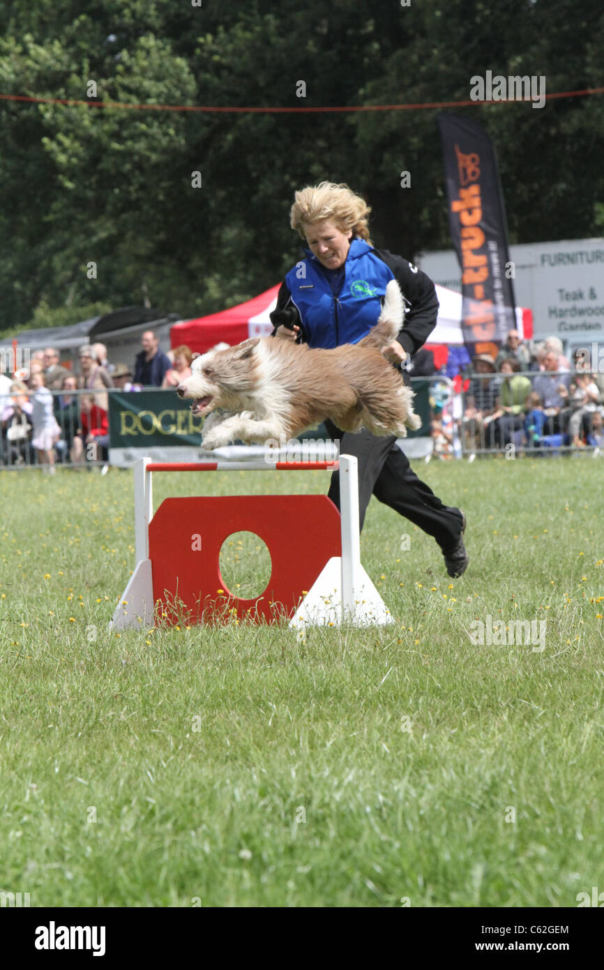 Agility shows hi-res stock photography and images - Alamy