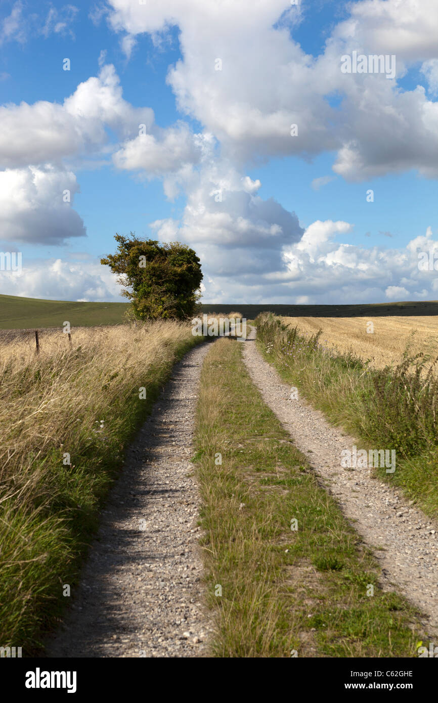 Path of tracks hi-res stock photography and images - Alamy
