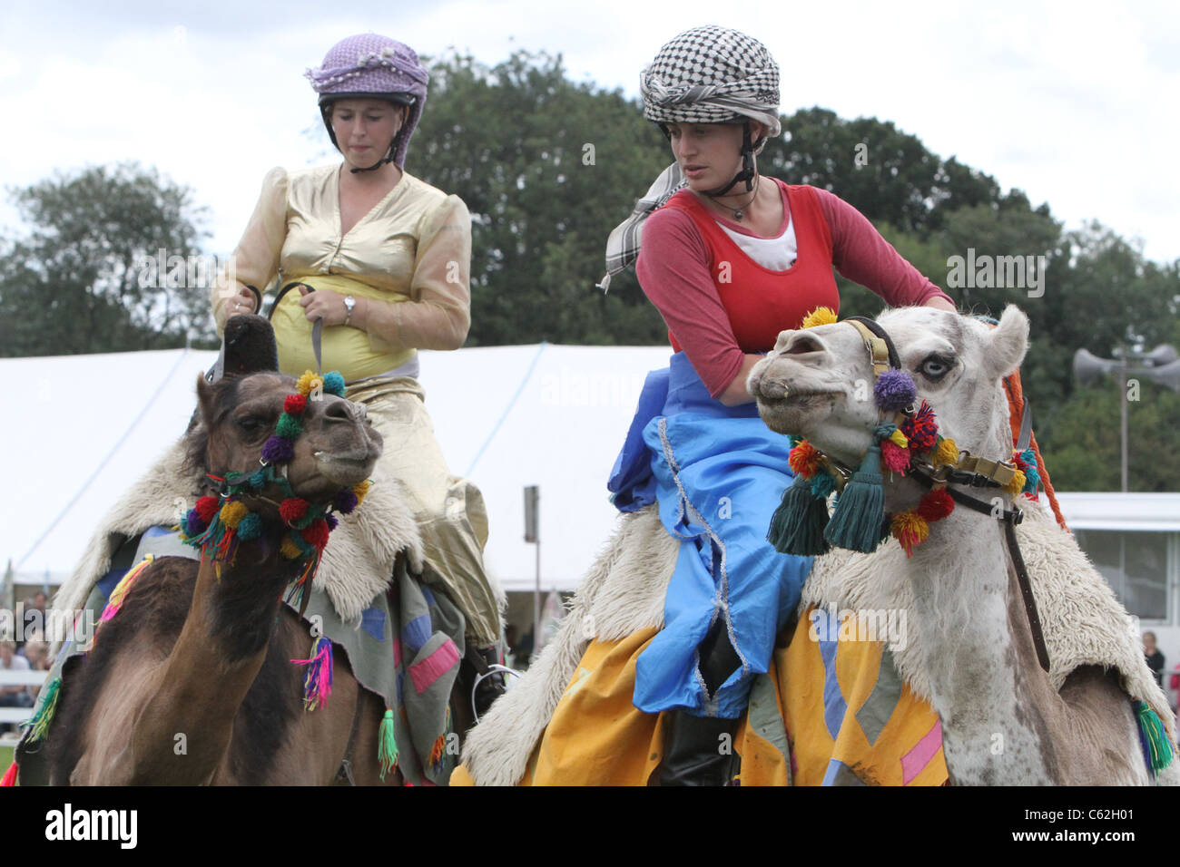 Racing camels hi-res stock photography and images - Alamy