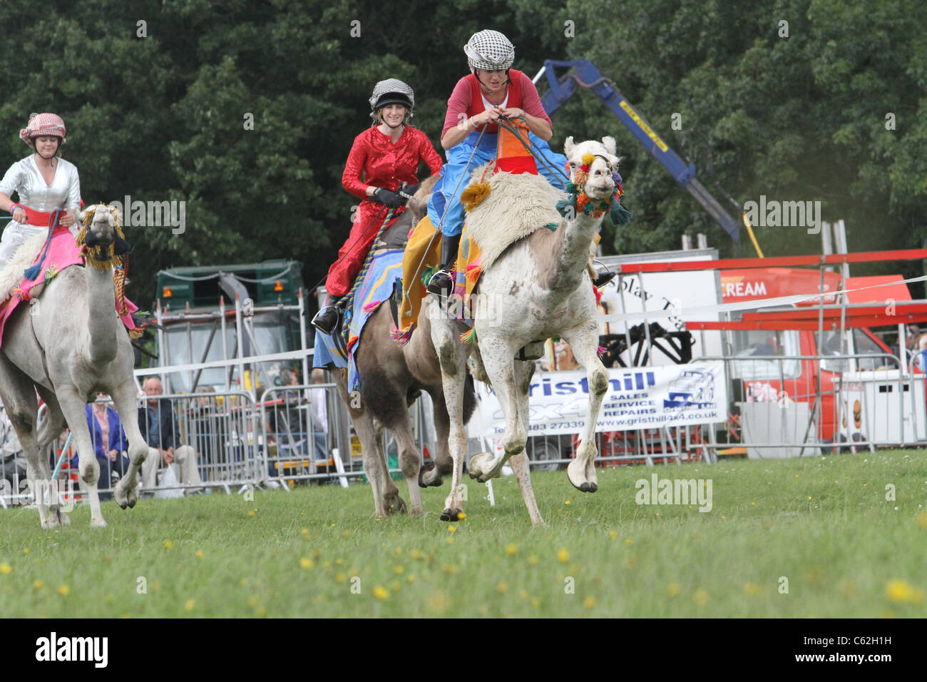 Camels for racing hi-res stock photography and images - Alamy