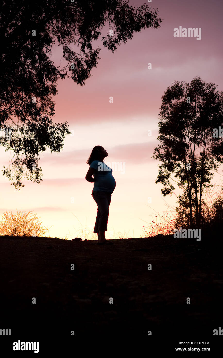 Pregnant silhouette hispanic hi-res stock photography and images - Alamy