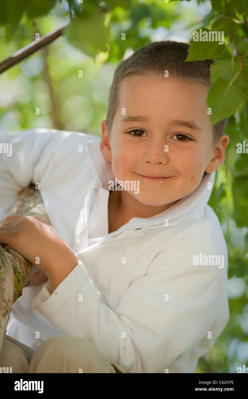 little boy climbing tree Stock Photo - Alamy