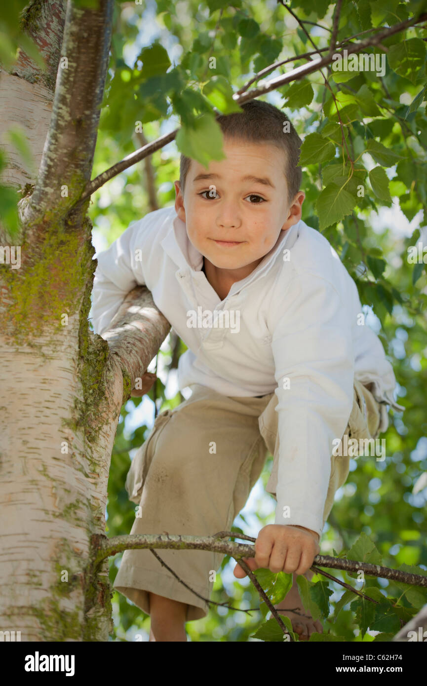 cute little boy climbing tree Stock Photo - Alamy
