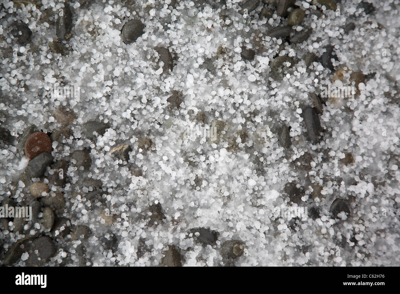 Close up of hale on top of stones Stock Photo - Alamy