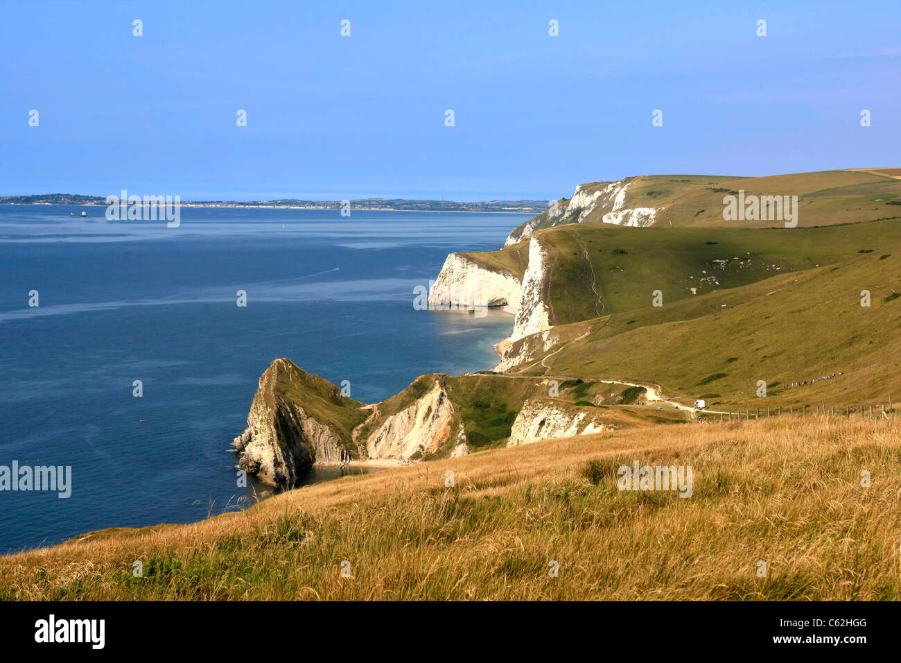 The chalk cliffs of the Purbeck hills on the South Coast in Dorset ...