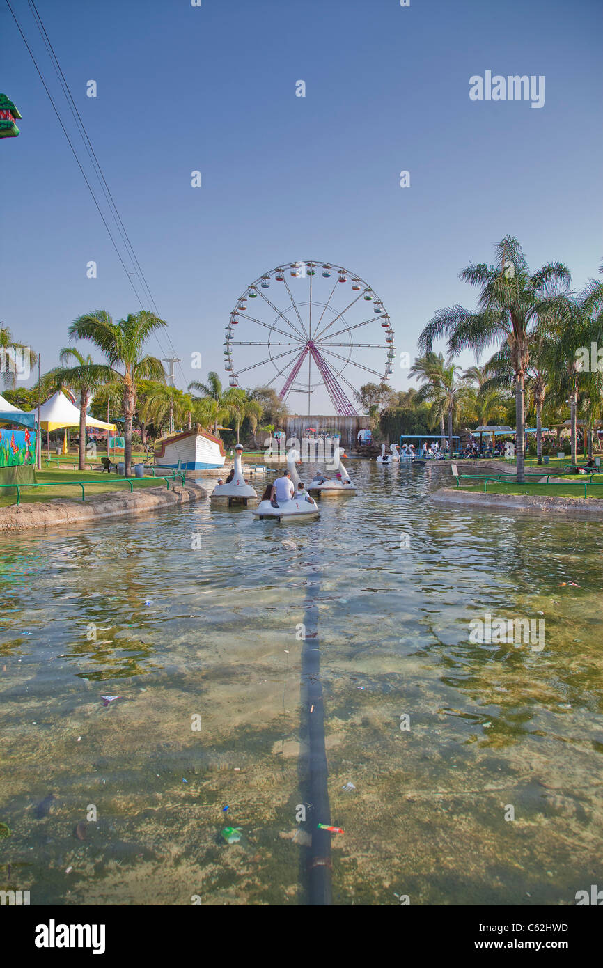 Amusement Park - swan ride in a lake Photographed at the Superland ...