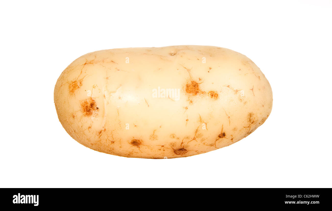 Brown fresh potato with some darker spots on white background Stock ...