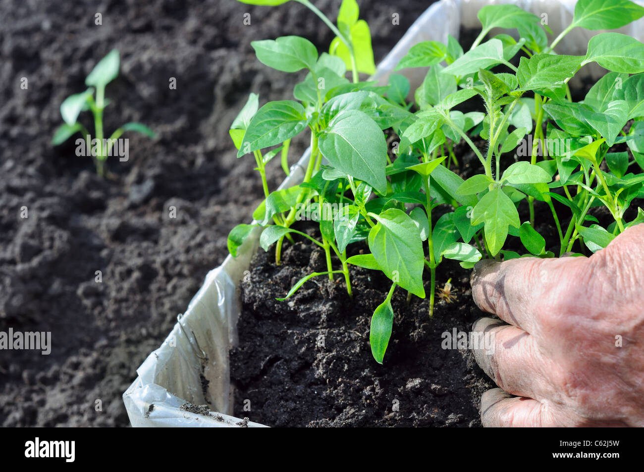 Soil before planting farmland hi-res stock photography and images - Alamy