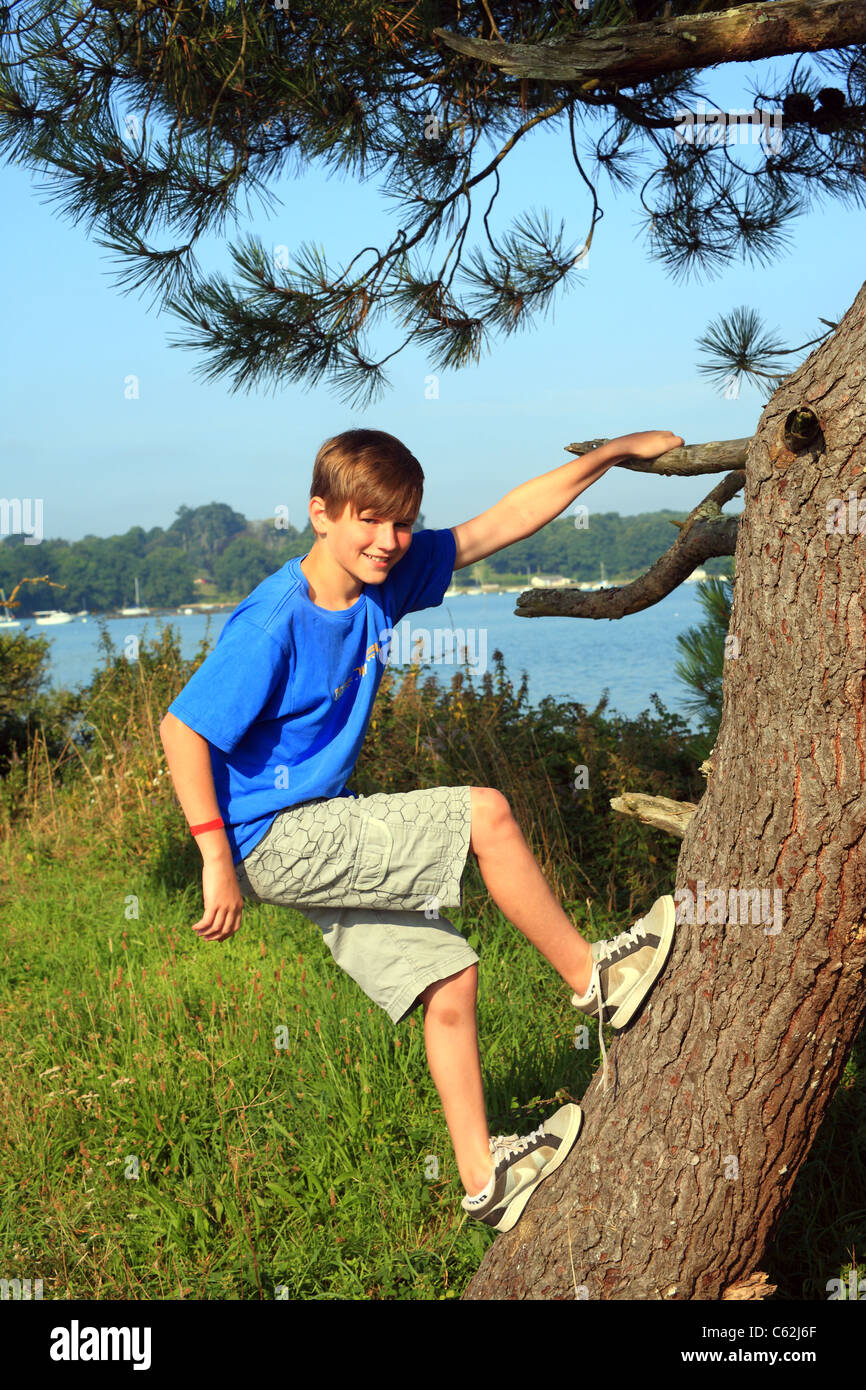 Boy climbing pine tree at Baie de Kerdrean at Lanester, Baden, Morbihan ...