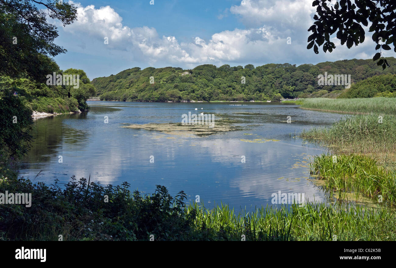 Stackpole estate pembrokeshire hi-res stock photography and images - Alamy