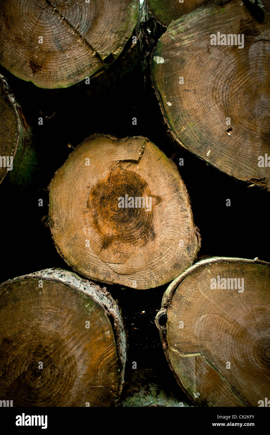 Stack of timber Stock Photo - Alamy