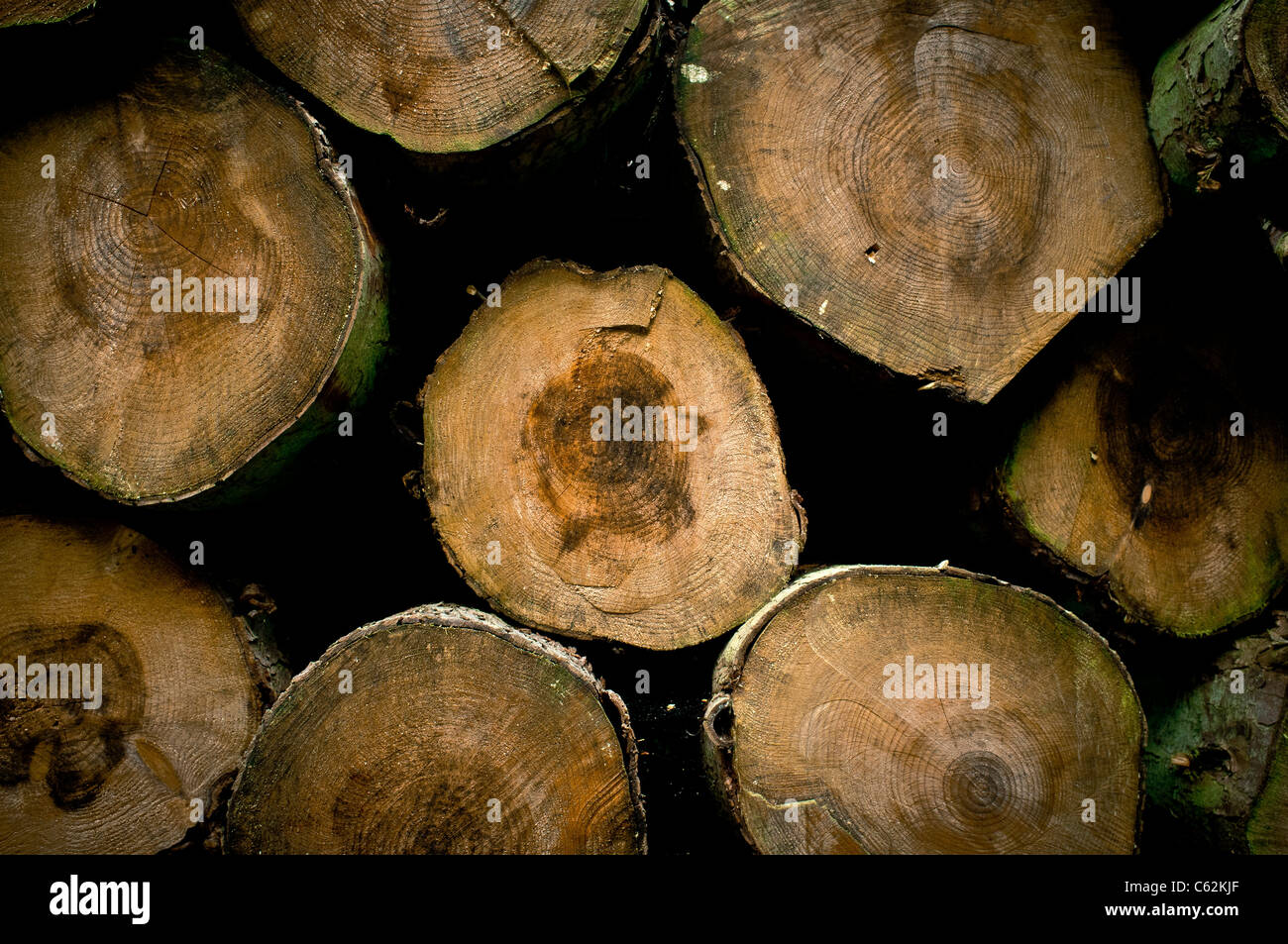 Lumber jack fuel wood stack circle round pattern hi-res stock ...