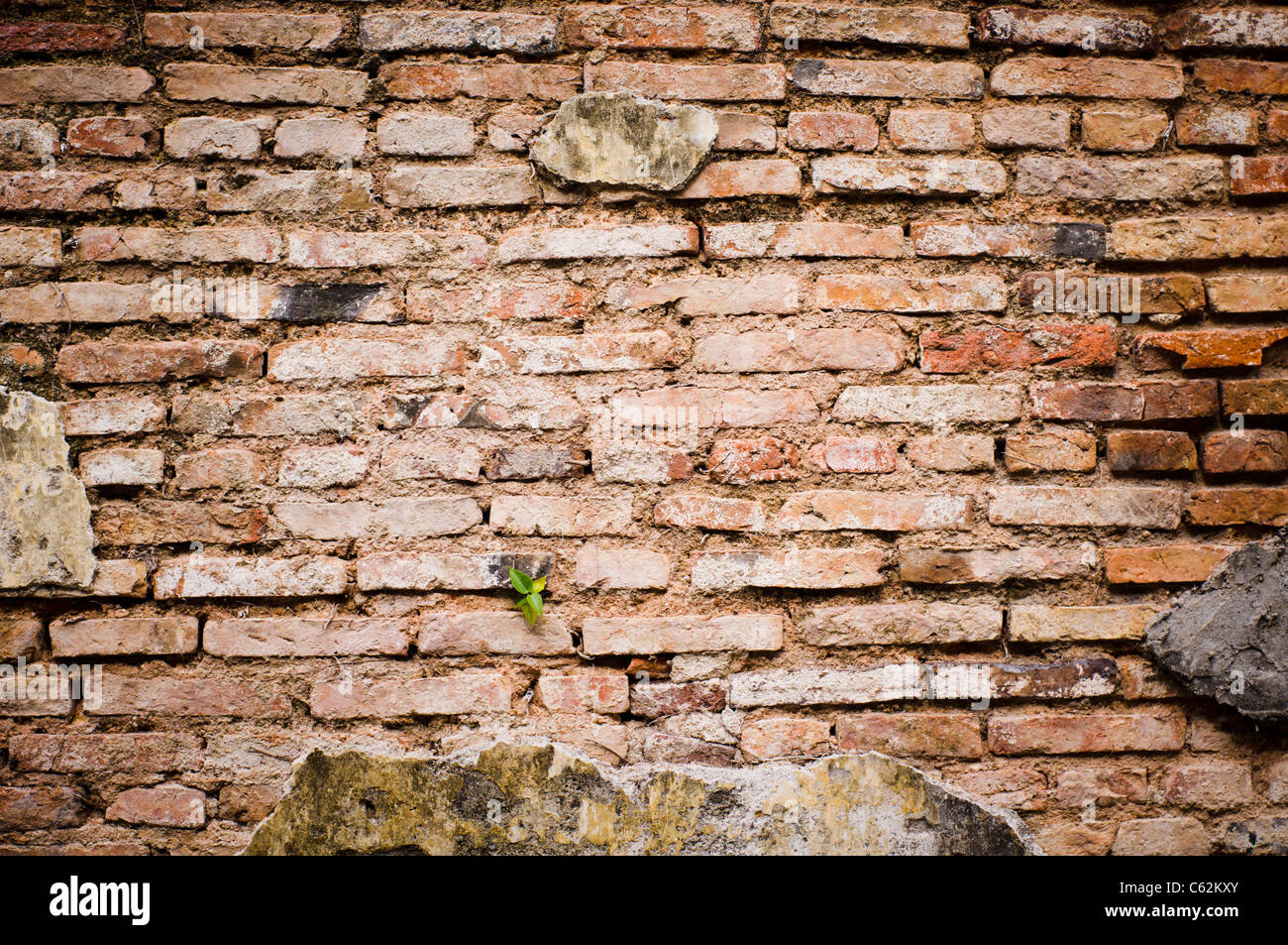 brick wall of abandoned building Stock Photo - Alamy