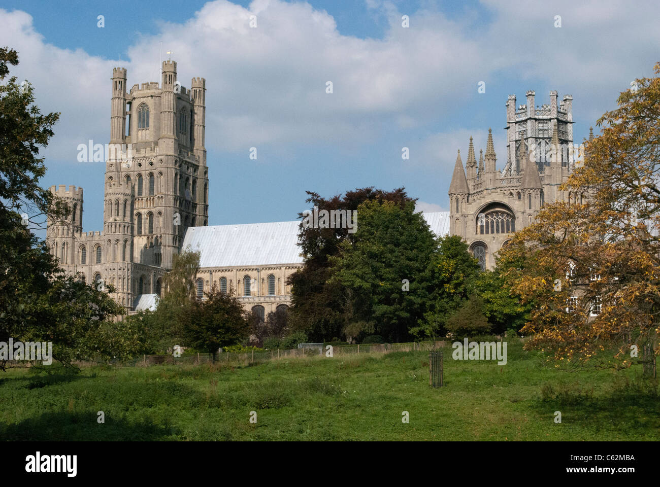 Ely Cathedral behind green fields with trees, one with autumn leaves ...