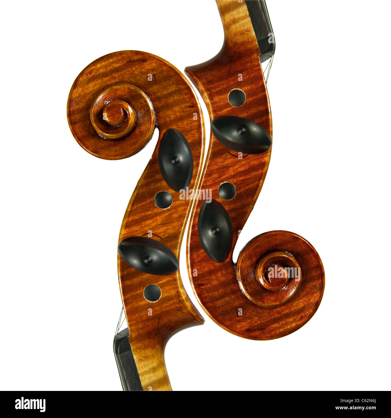 Violin Scroll Drawing