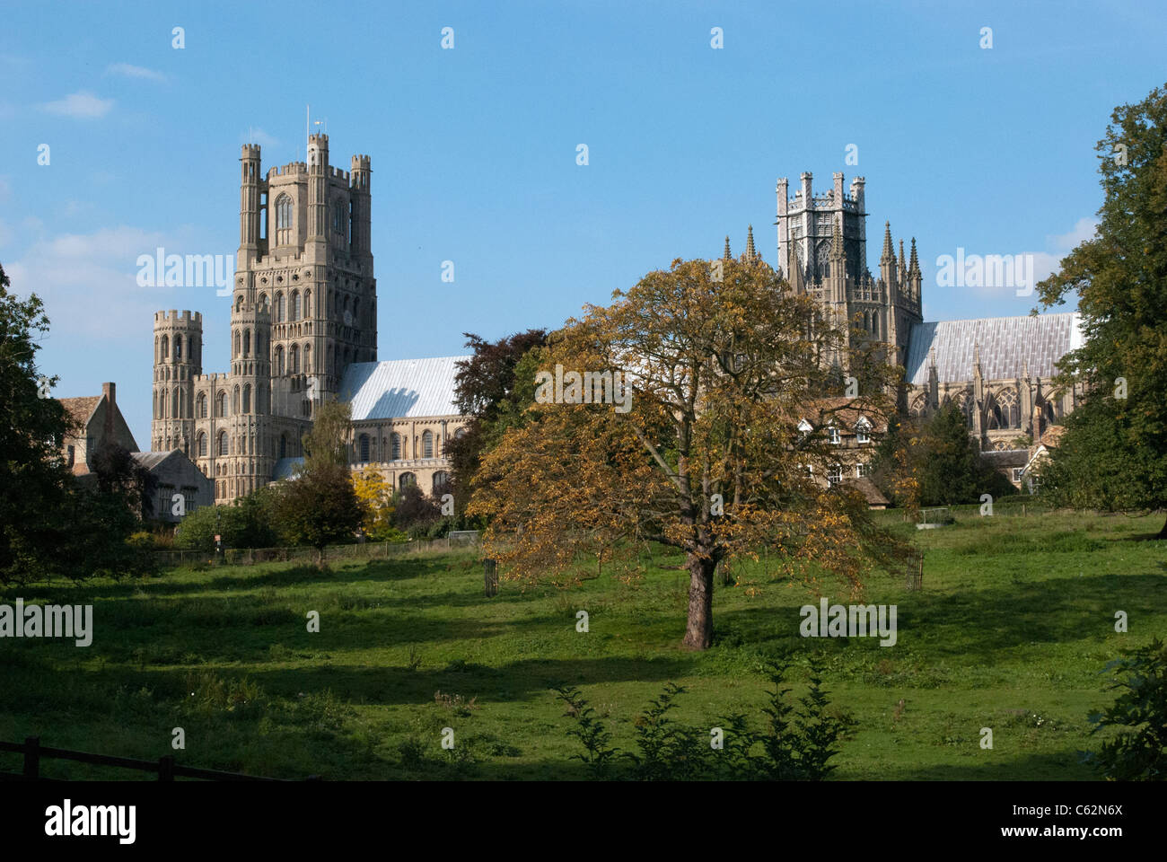 Ely Cathedral behind green fields with trees, one with autumn leaves ...